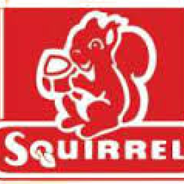 Squirrels